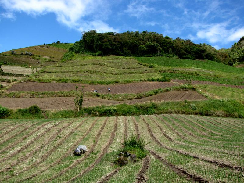 Cerro Punta, Panama - 2024 Travel Guide