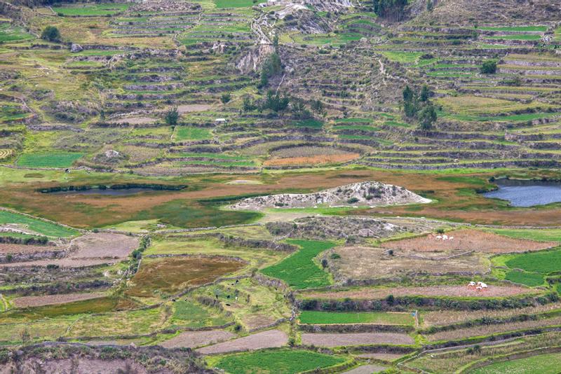 Chivay, Peru Travel Guide | Anywhere Travel