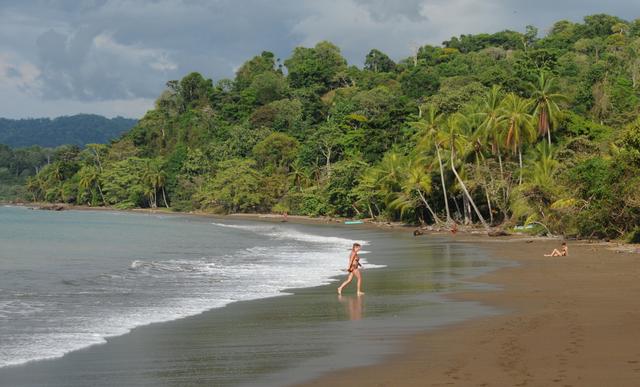 Drake Bay, South Pacific - Costa Rica 2023 Travel Guide | Anywhere