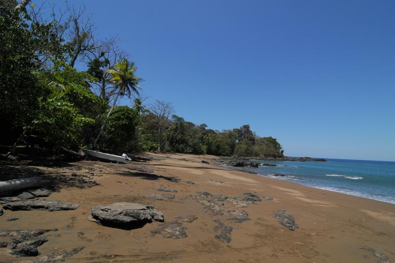 Drake Bay, South Pacific - Costa Rica 2023 Travel Guide | Anywhere