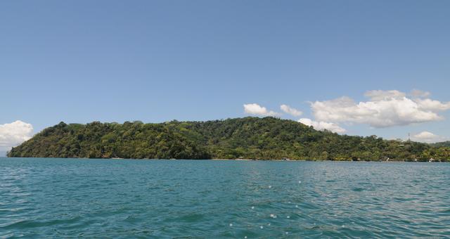 Golfo Dulce, South Pacific - Costa Rica 2023 Travel Guide | Anywhere