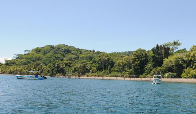 Golfo Dulce, South Pacific - Costa Rica 2023 Travel Guide | Anywhere
