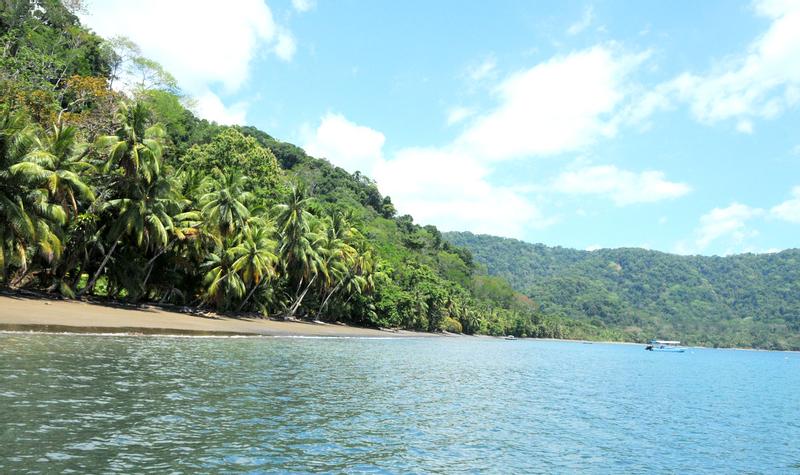 Golfo Dulce, South Pacific - Costa Rica 2023 Travel Guide | Anywhere