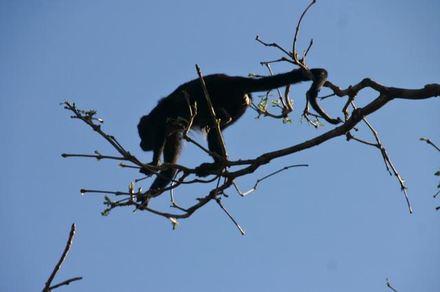 Isla Boca Brava, Panama - 2024 Travel Guide