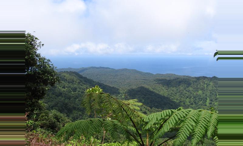 Isla de Coco, Costa Rica - 2018 Travel Guide