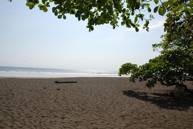 Matapalo, Central Pacific - Costa Rica 2023 Travel Guide | Anywere