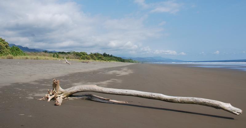 Matapalo, Central Pacific - Costa Rica 2023 Travel Guide | Anywere