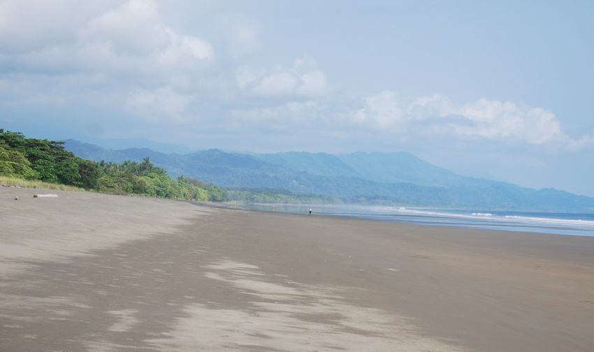 Matapalo, Central Pacific - Costa Rica Travel Guide | Anywere