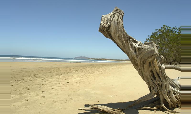 Matapalo Guanacaste, Costa Rica - 2018 Travel Guide