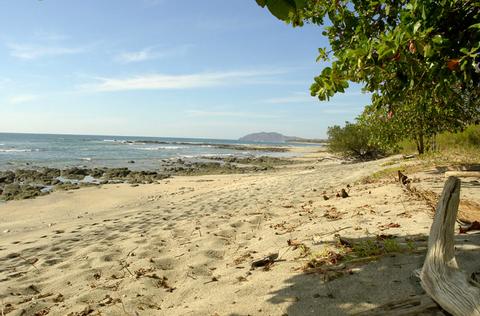 Matapalo Guanacaste, Costa Rica - 2024 Travel Guide