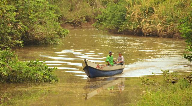 2023 Mogue Travel Guide - Mogue, Panama Vacations