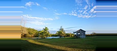 Northern Lowlands, Belize - 2018 Travel Guide