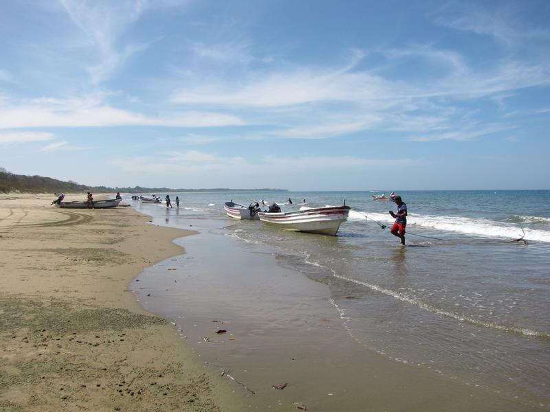 2023 Pedasi Travel Guide - Pedasi, Panama Vacations