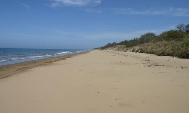 2023 Pedasi Travel Guide - Pedasi, Panama Vacations