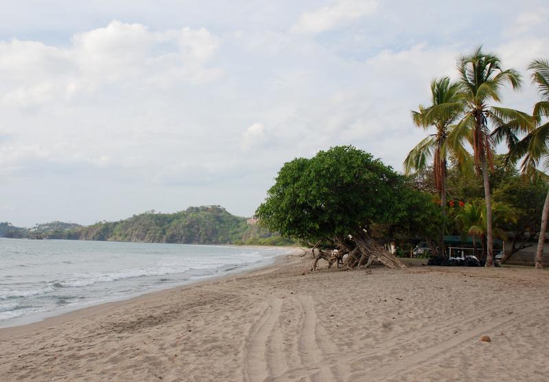 Playa Brasilito, Guanacaste - Costa Rica 2024 Travel Guide | Anywhere