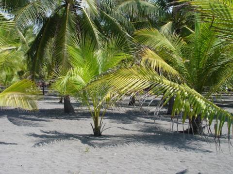 Retalhuleu, Guatemala Vacations - 2023 Travel Guide