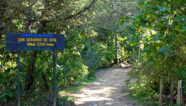 San Gerardo de Dota, Costa Rica - 2024 Travel Guide