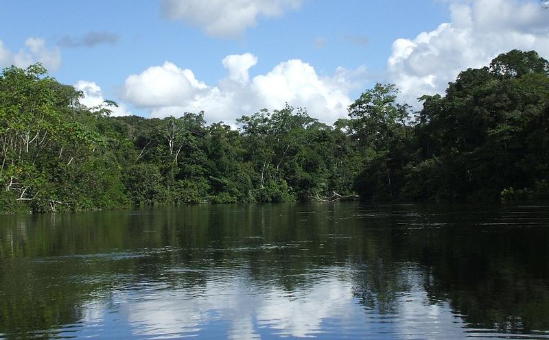 Adventure Awaits at Nicky Amazon Lodge - Cuyabeno, Ecuador | Anywhere