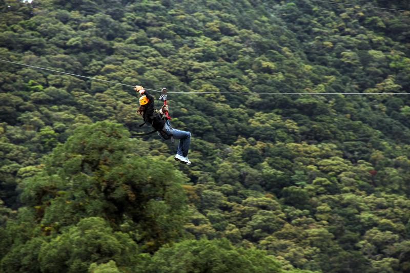 Boquete Tree Trek Boquete Panama
