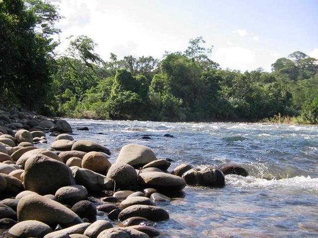 Chilamate Rainforest Eco Retreat - Sarapiquí