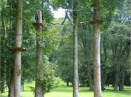 Family Treetop Adventure - Bedugul, Indonesia | Anywhere