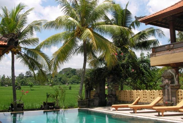Green Field Hotel and Restaurant - Ubud, Indonesia | Anywhere