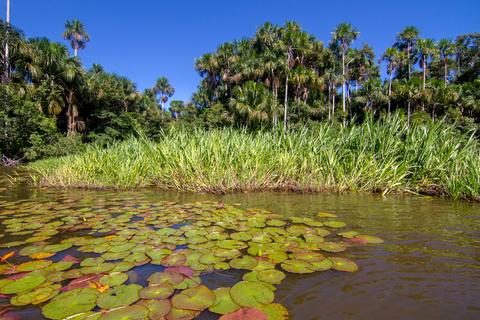 2023 Amazon Basin, Peru Travel Guide