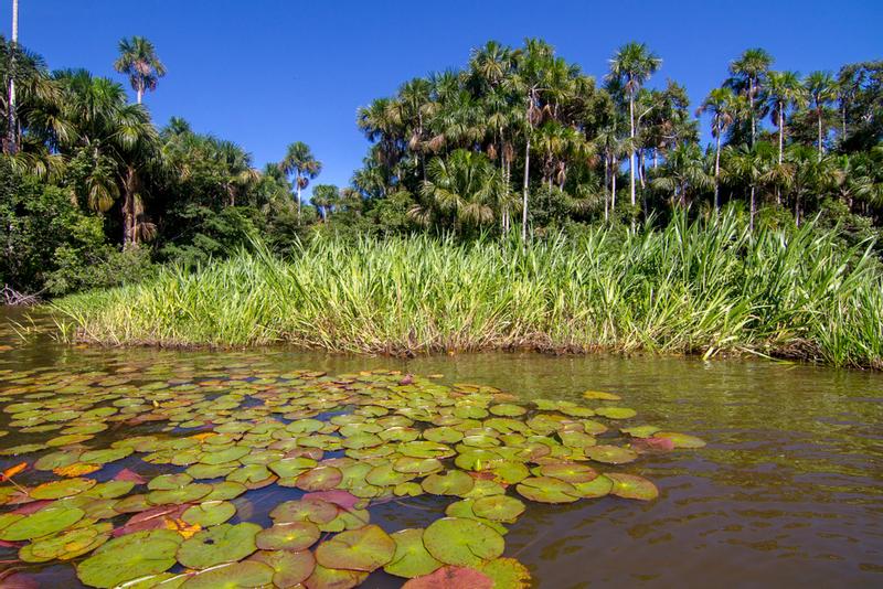 2023 Amazon Basin, Peru Travel Guide