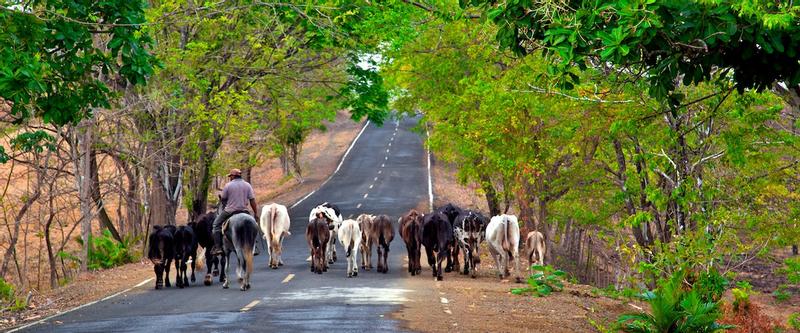 Azuero Peninsula, Panama - 2024 Travel Guide