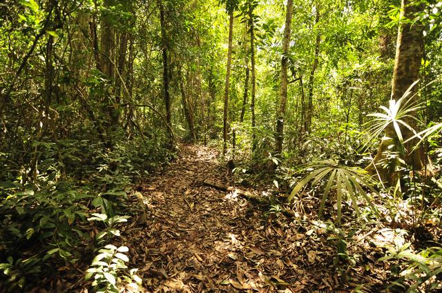 Darién, Panama - 2024 Travel Guide