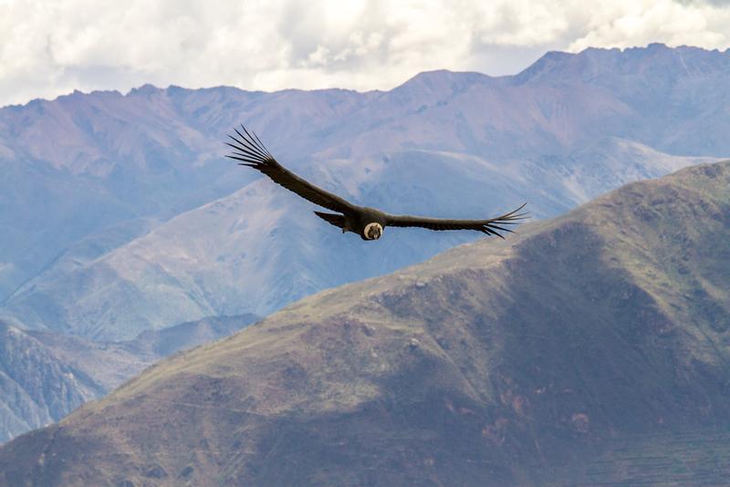 High Plains, Peru - 2024 Travel Guide