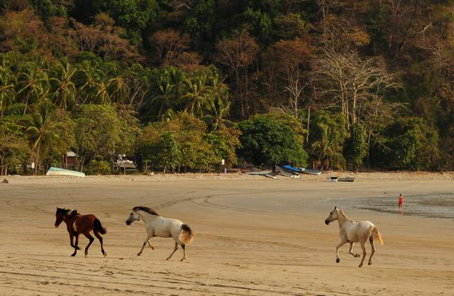 Nicoya Peninsula, Costa Rica - 2024 Travel Guide