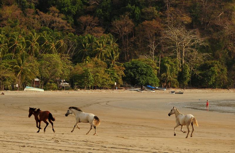 Nicoya Peninsula, Costa Rica - 2024 Travel Guide