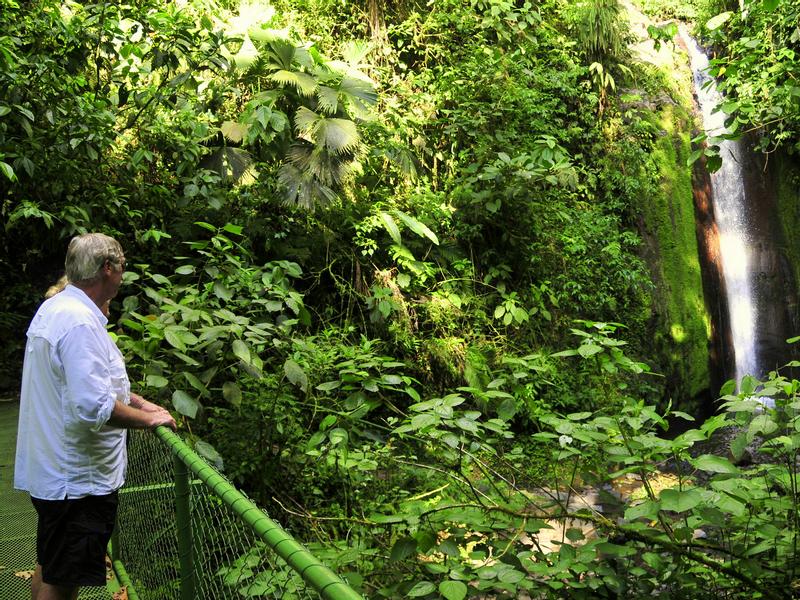 2024 Northern Lowlands Costa Rica Travel Guide