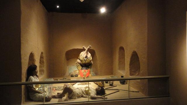 Bosque de Pomac and Sicán Museum Half-Day Tour