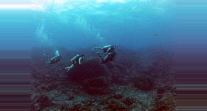 2018 Visitor Guide to Isla de Cano, Costa Rica