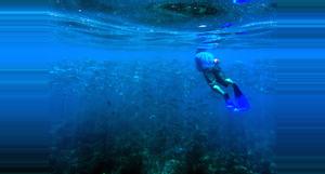 2018 Visitor Guide to Isla de Cano, Costa Rica