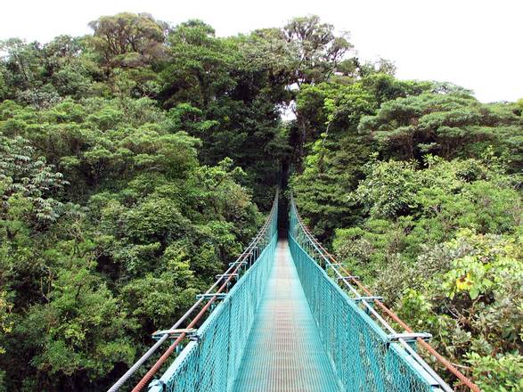 Costa Rica Canopy Suspension Bridge Tours