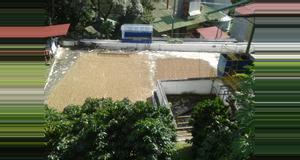 Costa Rica Coffee Farm Tours & Coffee Tastings