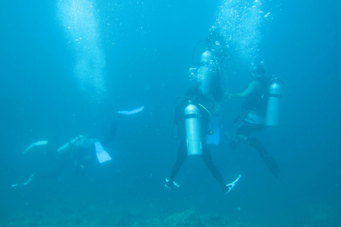 Discover Scuba Diving Santa Catalina Panama