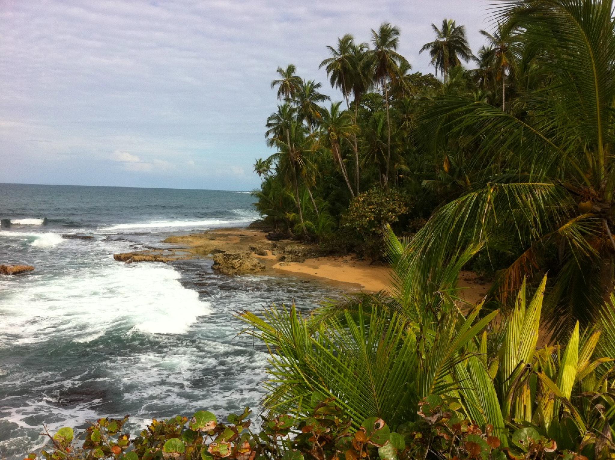 Gandoca Manzanillo Refuge Jungle Hike - Costa Rica
