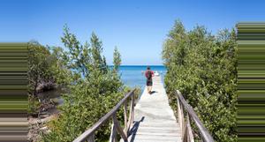 Desembarco del Granma National Park, Cuba - 2018 Guide