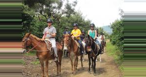 Guatemala Horsebackriding Tours & Activities