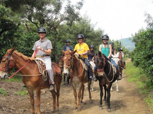 Guatemala Coffee Farm Tours & Coffee Tastings