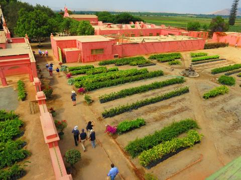 Pisco Route in Ica - Ica, Peru