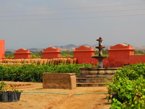 Pisco Route in Ica - Ica, Peru