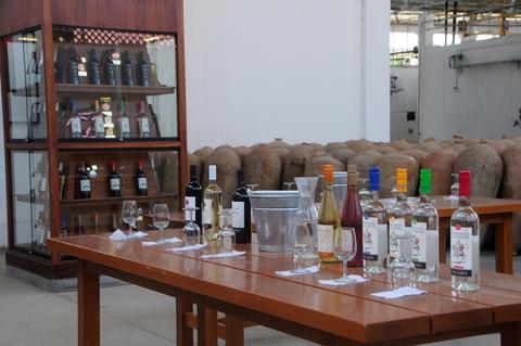 Pisco Route in Ica - Ica, Peru