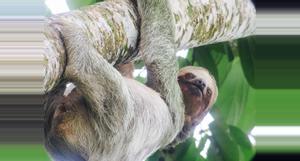 2018 Arenal Travel Guide: Arenal, Costa Rica Vacations