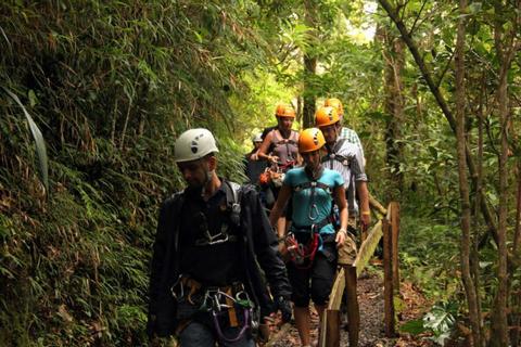 Boquete Tree Trek Canopy Tour Panama