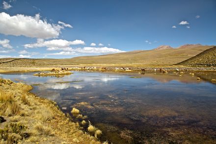 Peru Vacation Destinations | Anywhere Travel